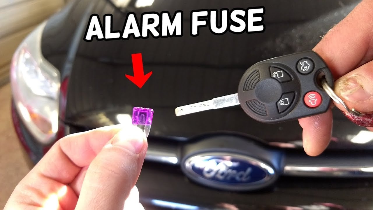 Where is the Fuse for the Anti-Theft System - Car News Box